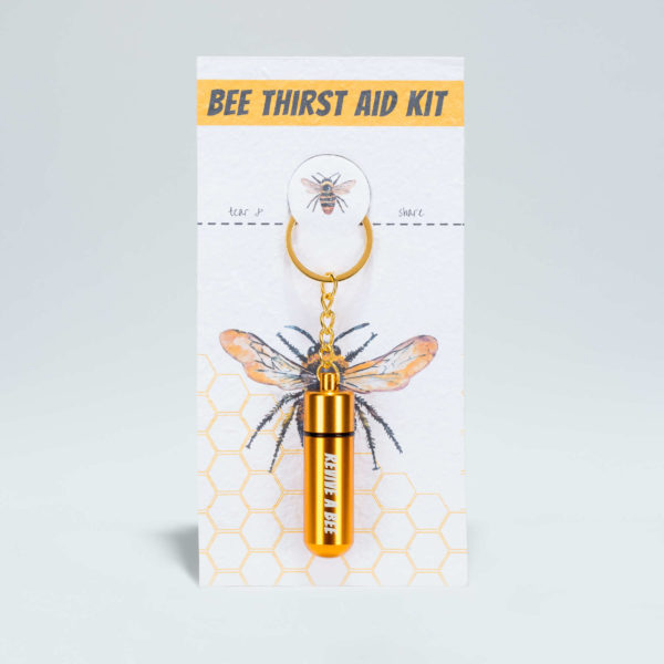 How To Use Your Bee Revival Kit - Revive A Bee