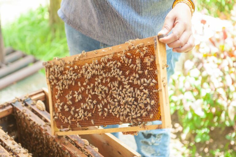 What Do Bees Eat? A Simple Guide